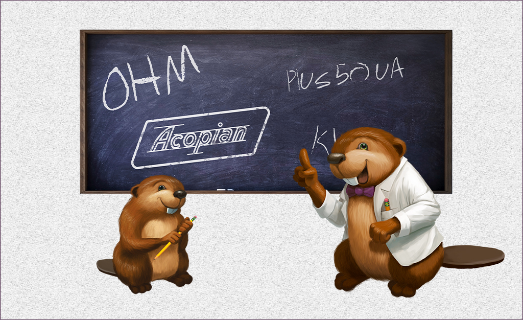 The Acopian Beaver Story | Acopian Power Supplies